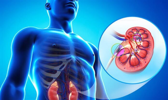 ΚΑΡΚΙΝΟΣ ΟΥΡΟΔΟΧΟΥ ΚΥΣΤΕΩΣ | Ogkologos.com